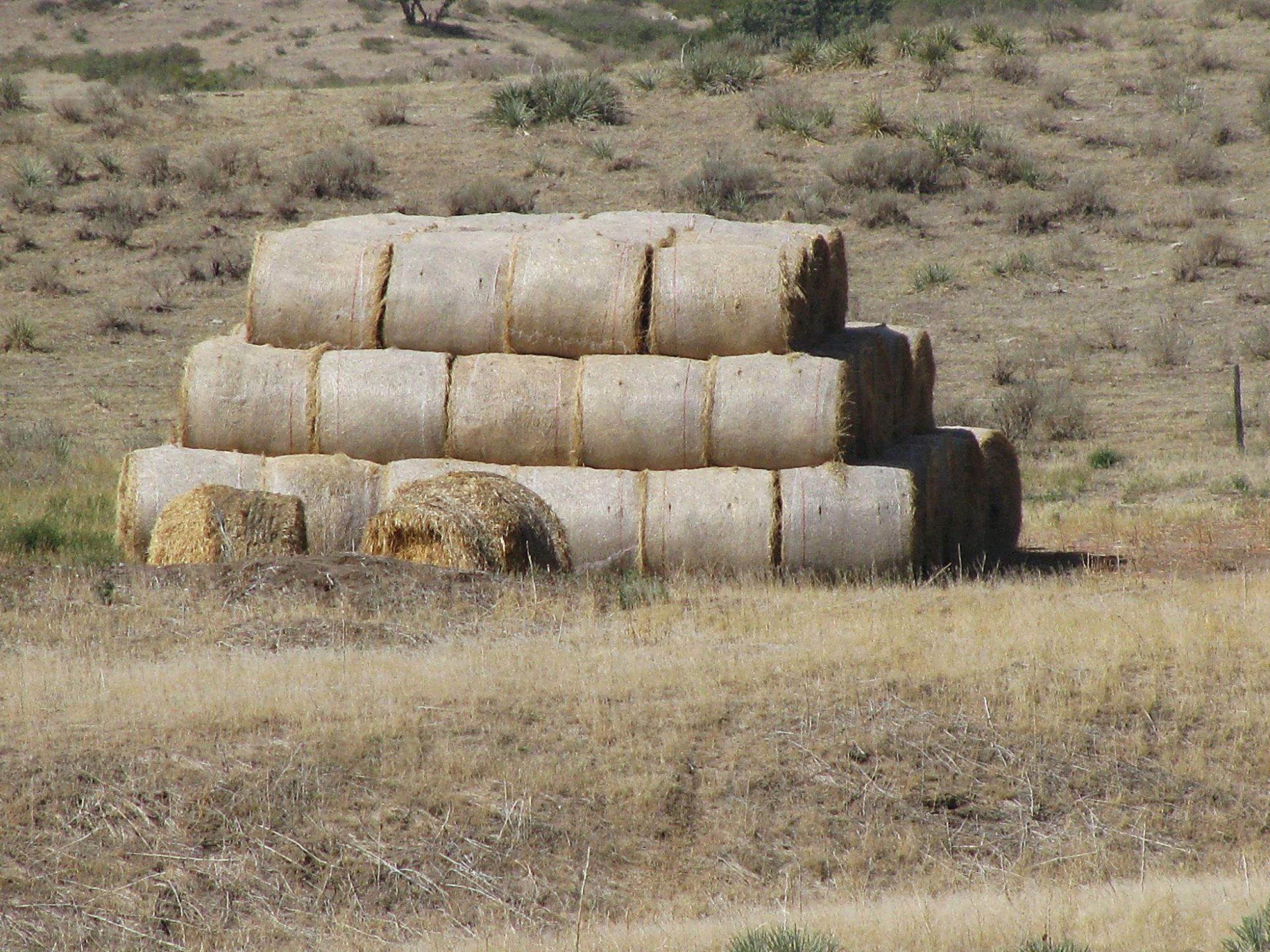 Hay scam hits Wyoming and Montana ranchers | TheFencePost.com
