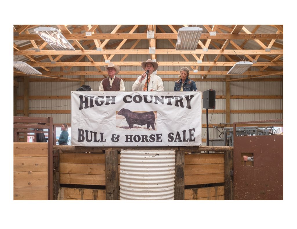 Breeder’s Connection 2025 | Herring Angus Ranch Bull & Horse Sale ...