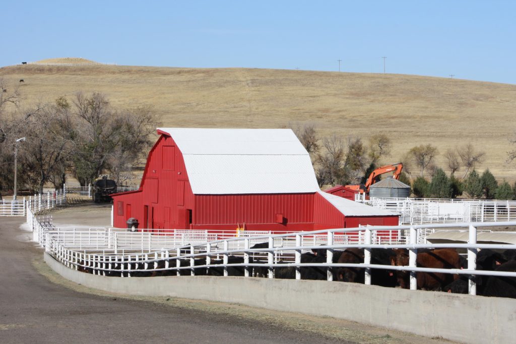 Breeder’s Connection 2025 | Running Creek Ranch | TheFencePost.com