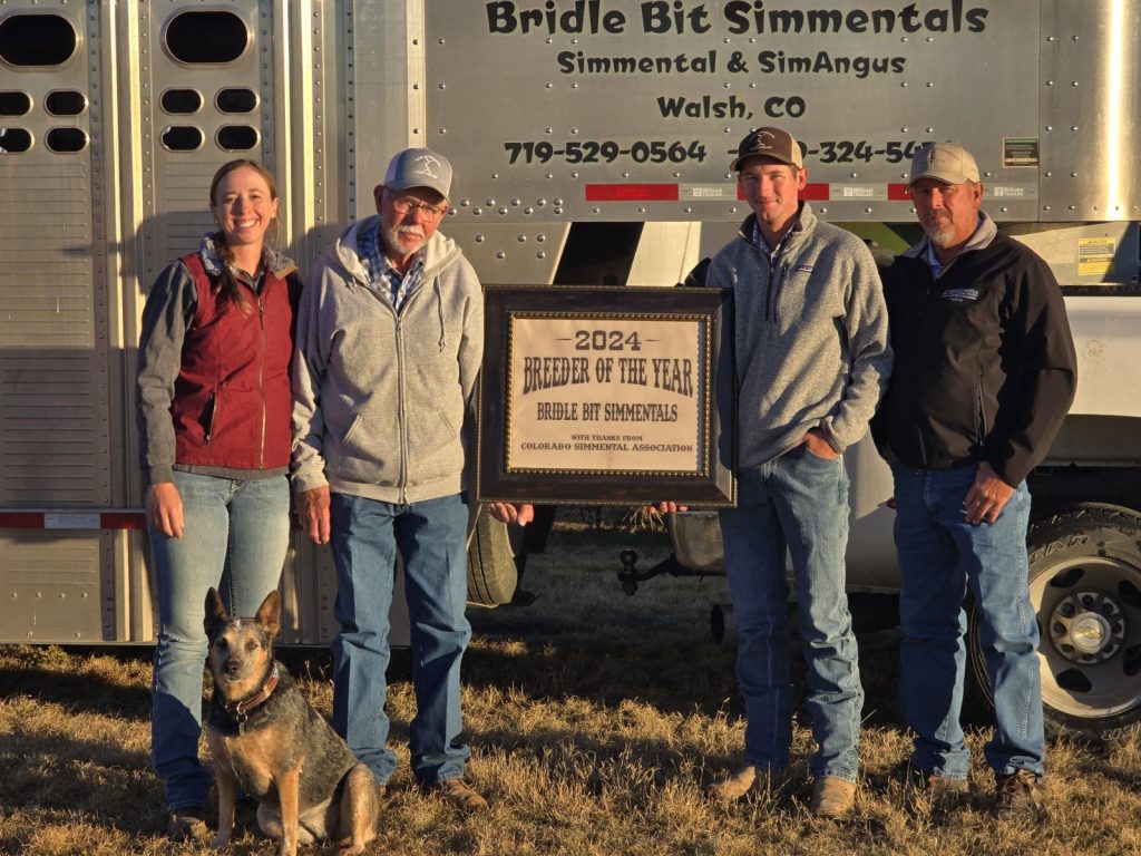 Breeder’s Connection 2025 | Bridle Bit Simmentals | TheFencePost.com