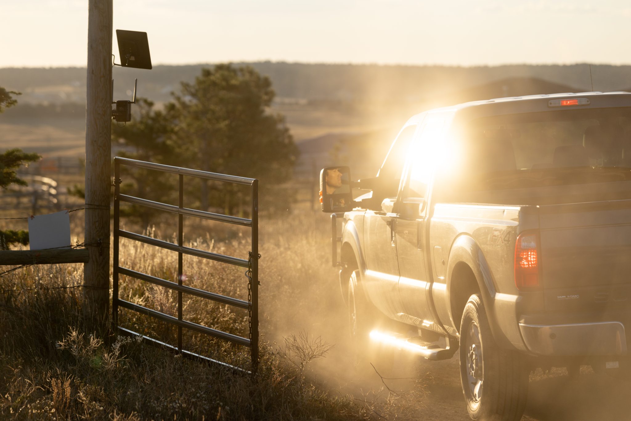 Barn Owl: Technological excellence | TheFencePost.com