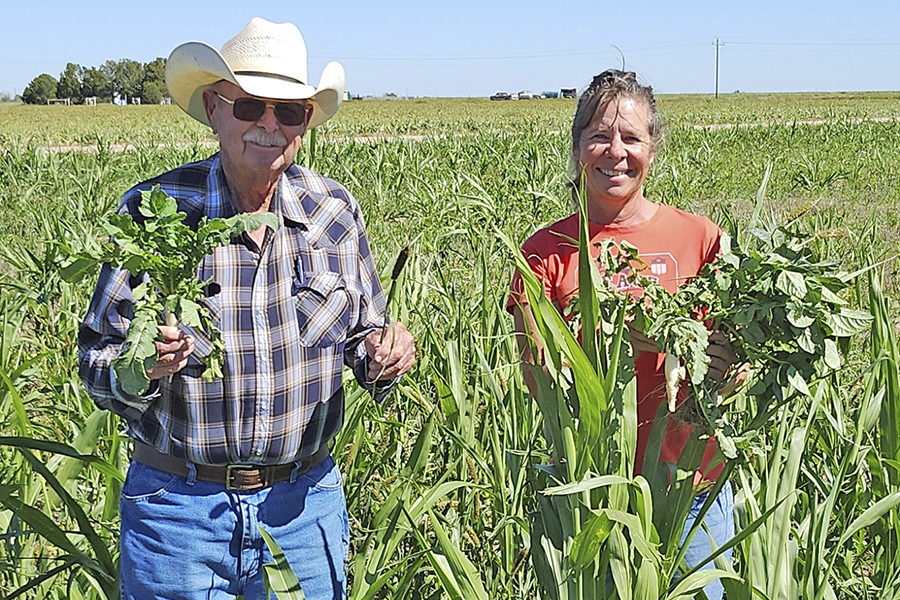 Helping stabilize agricultural land in southeastern Colorado ...