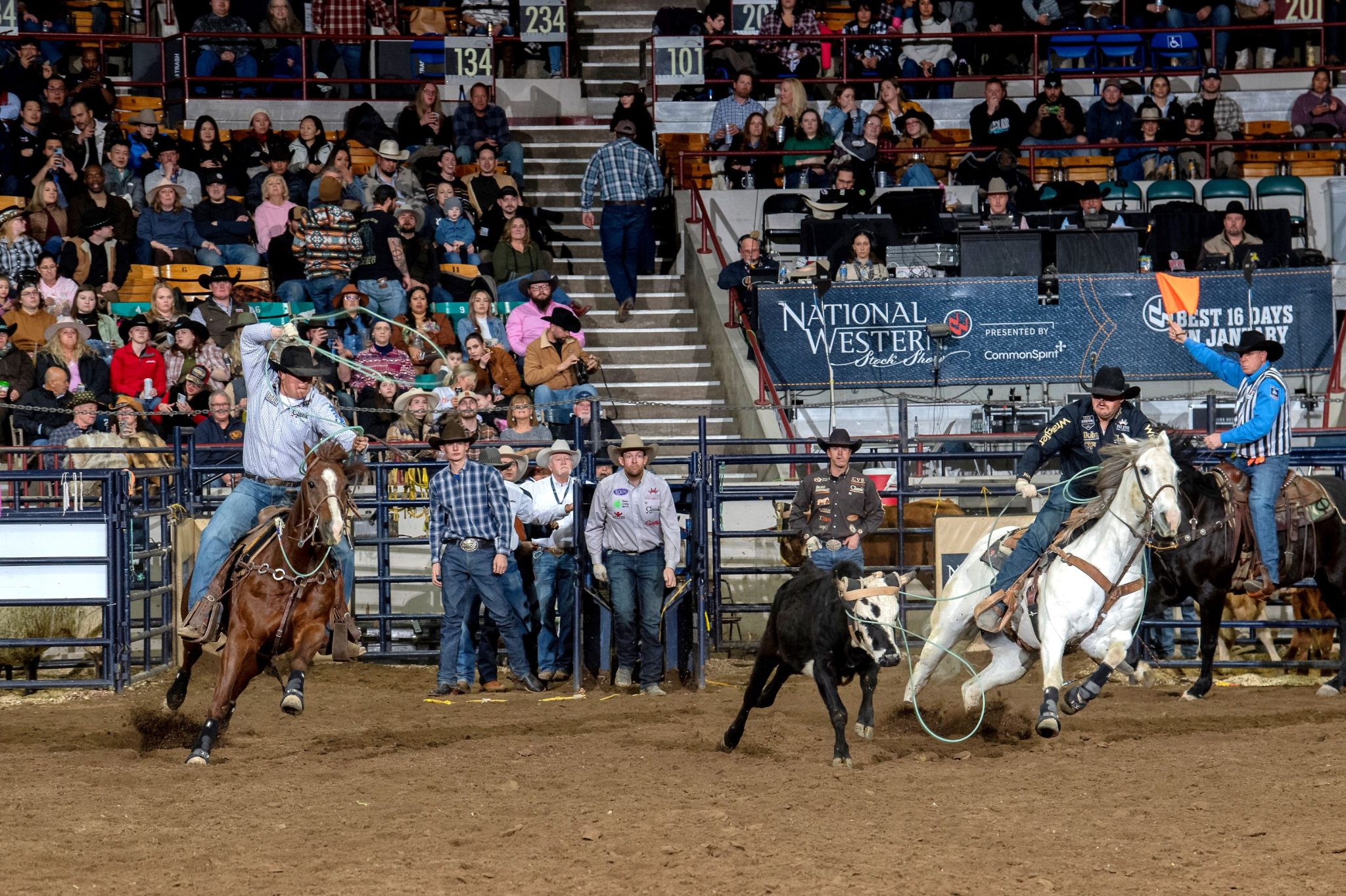 Wyoming Brothers at the top at NWSS Rodeo | TheFencePost.com