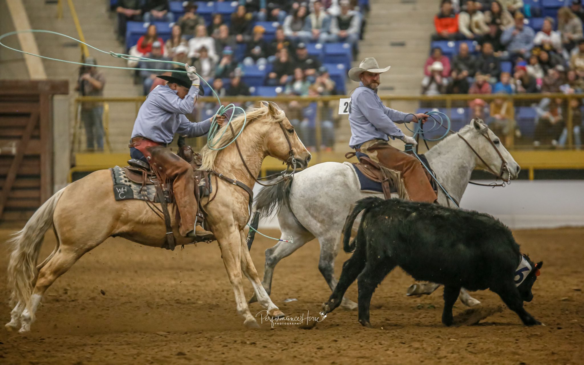 Nebraska cowboy wins Top Hand, Top Horse at NWSS Ranch Rodeo ...