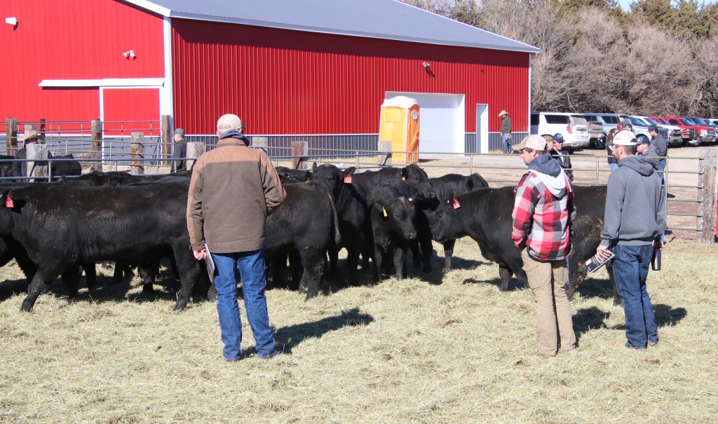 Hunt Angus Ranch Bull Sale | TheFencePost.com