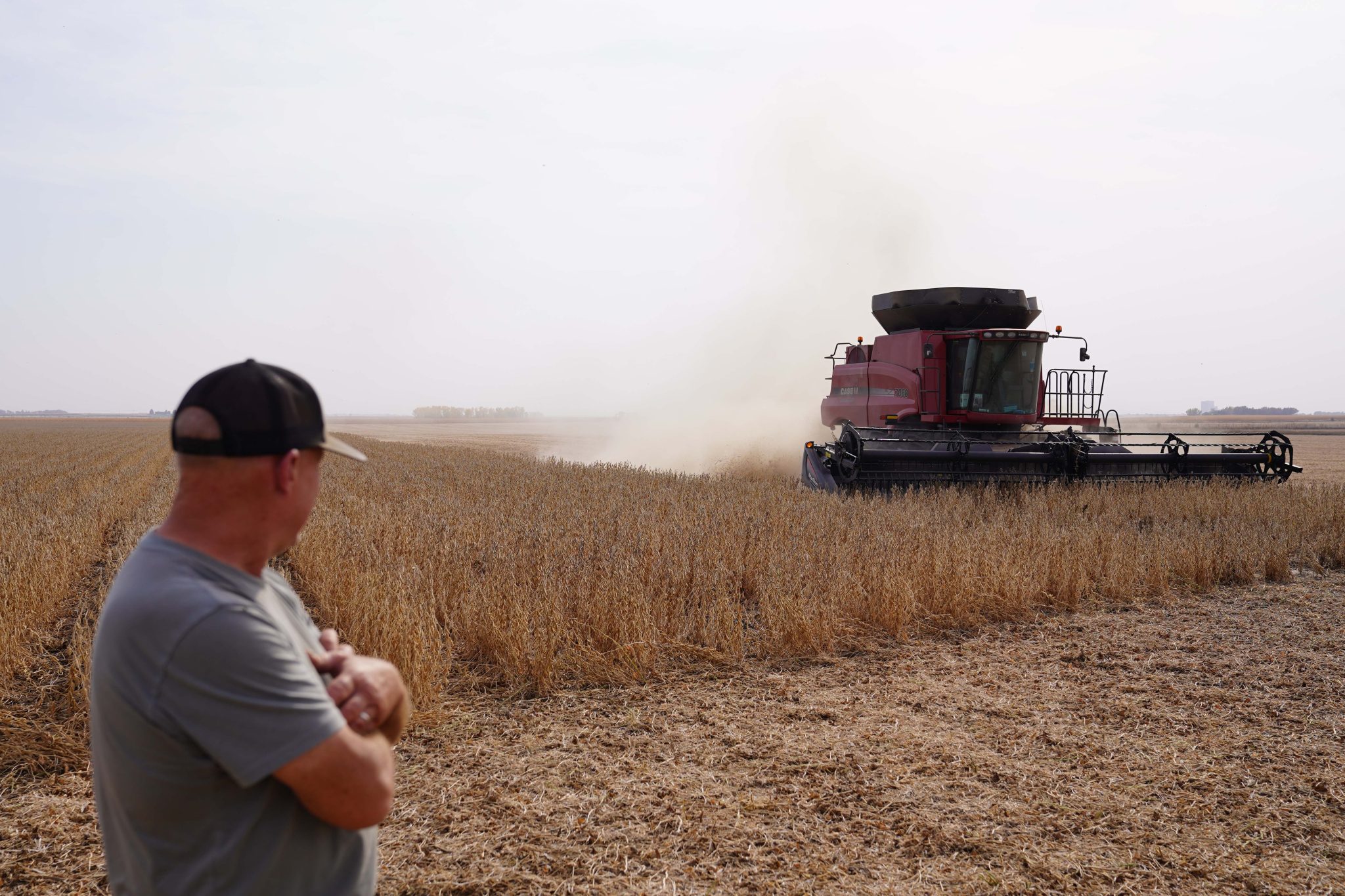 Nebraska Soybean Farmers Encouraged to Run for Open Board Seats ...