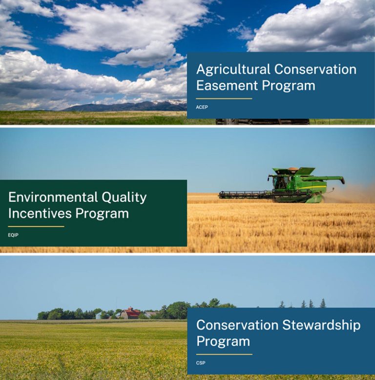 Rollins releases some NRCS program funds, but groups want more ...