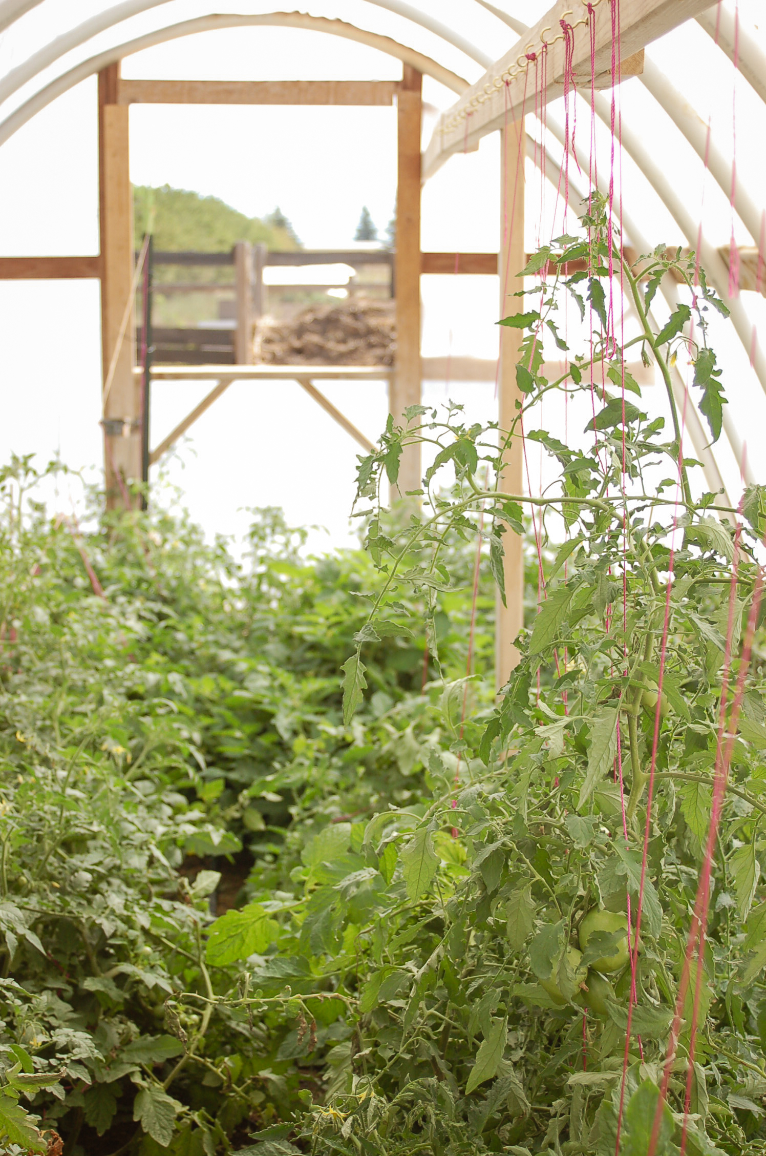 Innovative projects promote specialty crops across Wyoming ...
