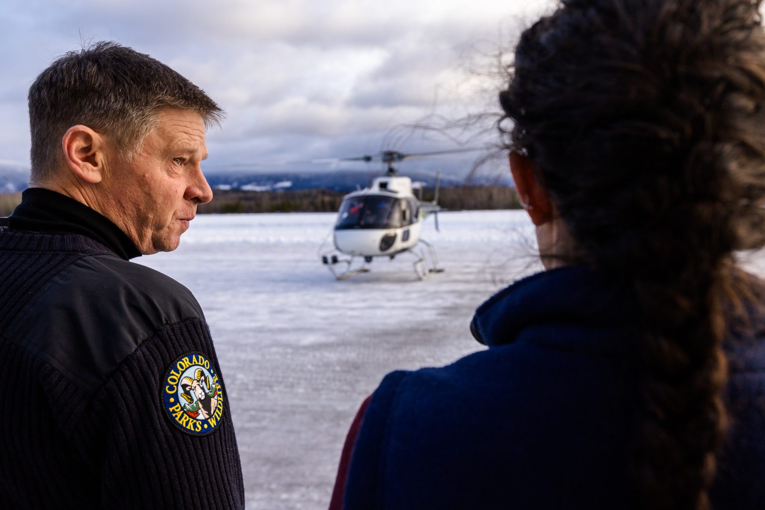 Some wolf claims approved, costs of BC wolves reviewed | TheFencePost.com