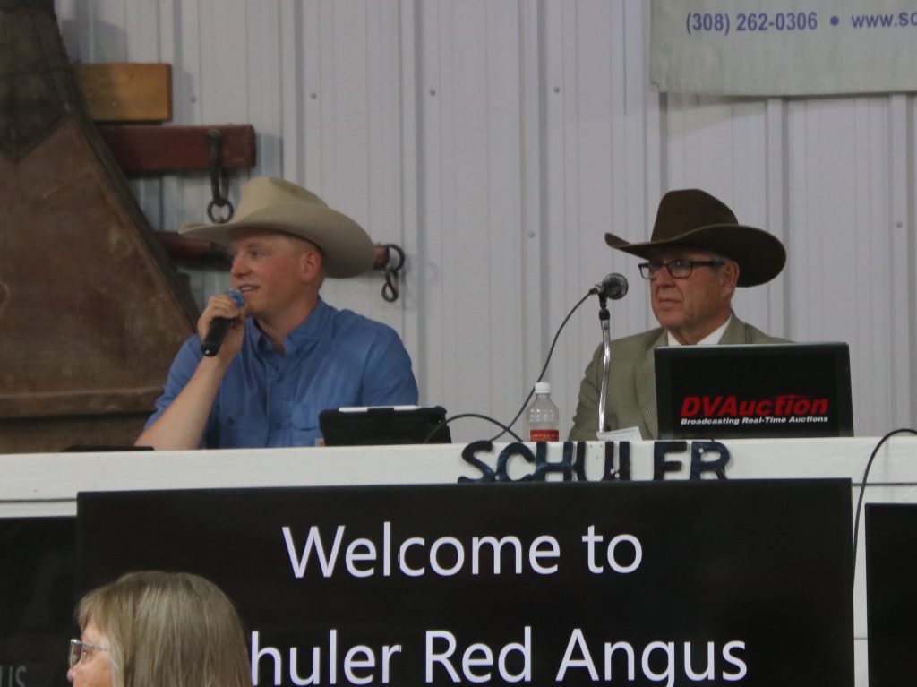 Schuler Red Angus 43rd Annual Bull Sale | TheFencePost.com