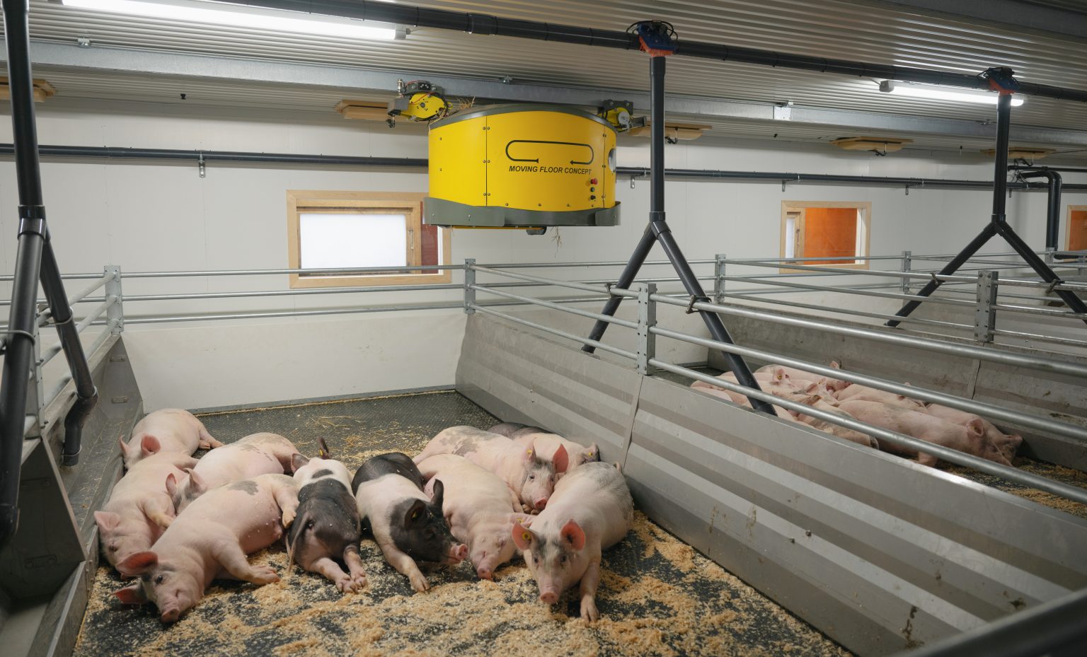 Rotating floor technology key to reducing pig house emissions ...