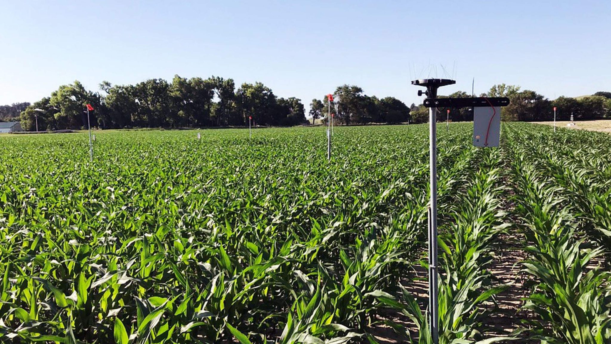 AEI scholar defends GOP SNAP cuts as farm groups weigh in ...