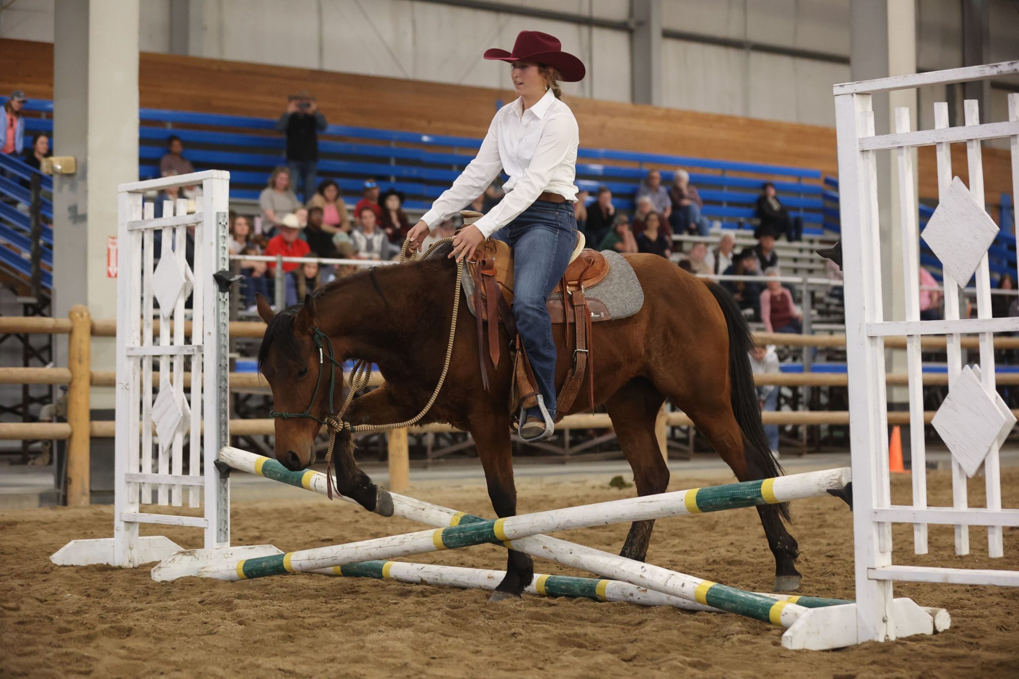 CSU’s Legends of Ranching colt starting team finds victory ...