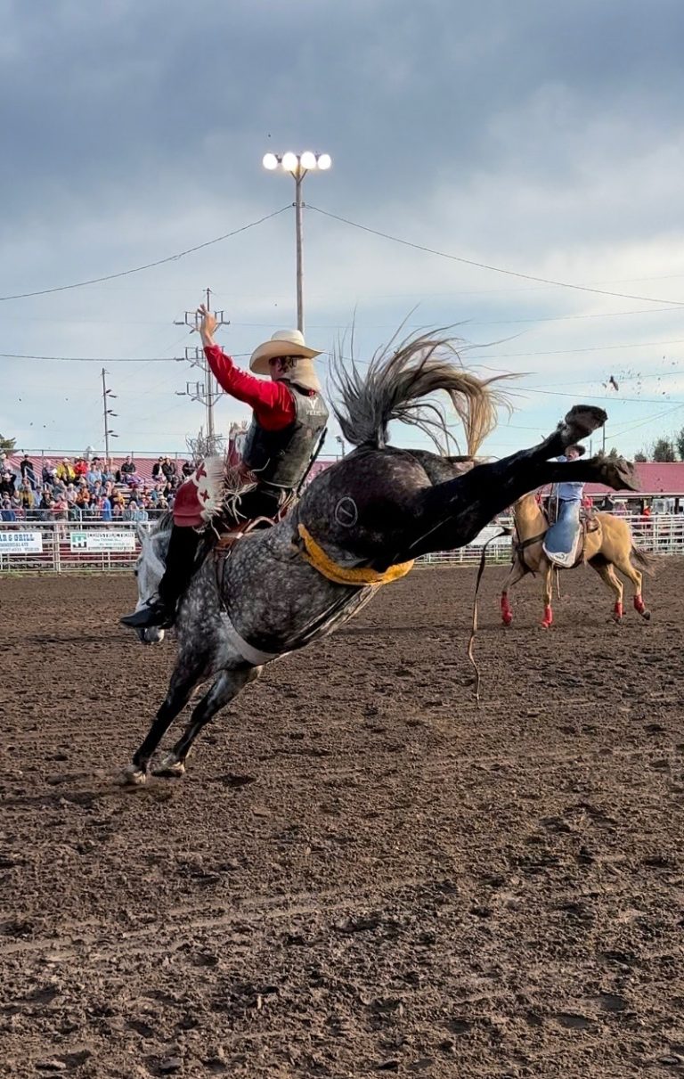 Buffalo Bill Rodeo set for kick-off | TheFencePost.com