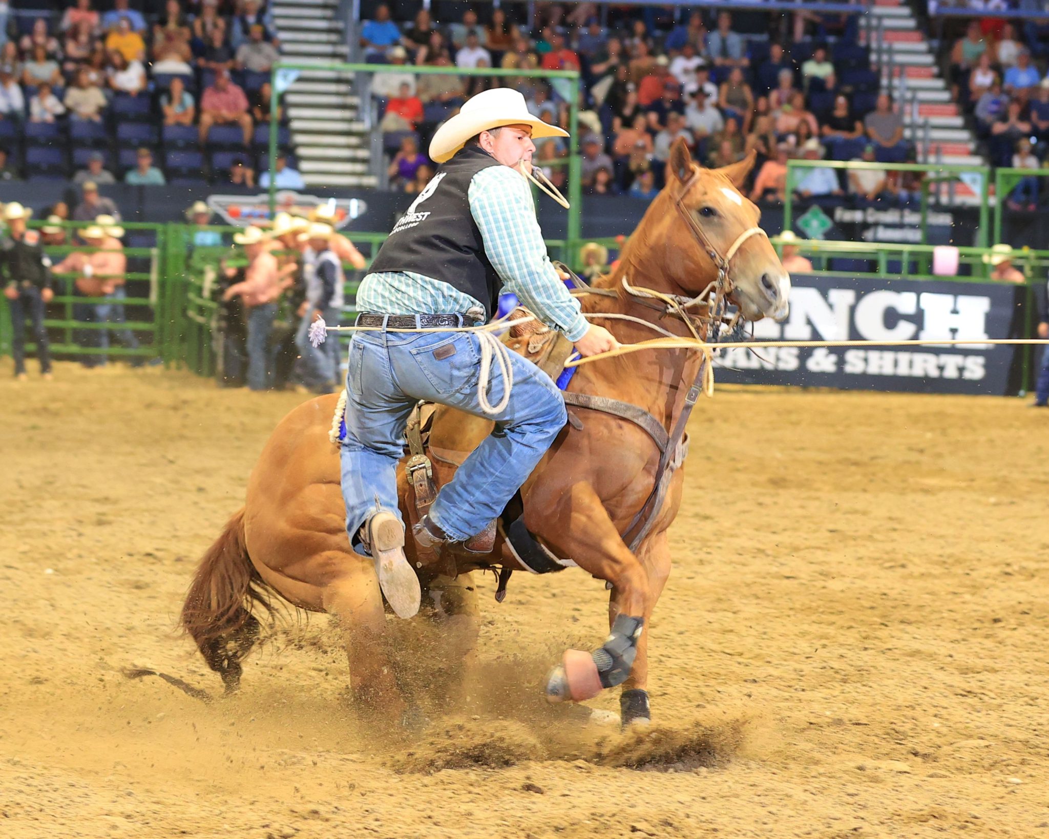 CNFR sets field for Championship Finals | TheFencePost.com