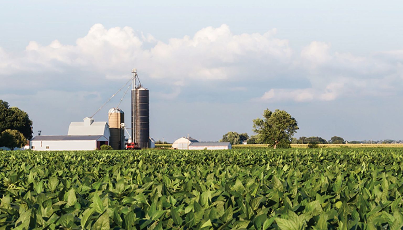 Senate begins voting, farm groups divided over Grassley provision ...