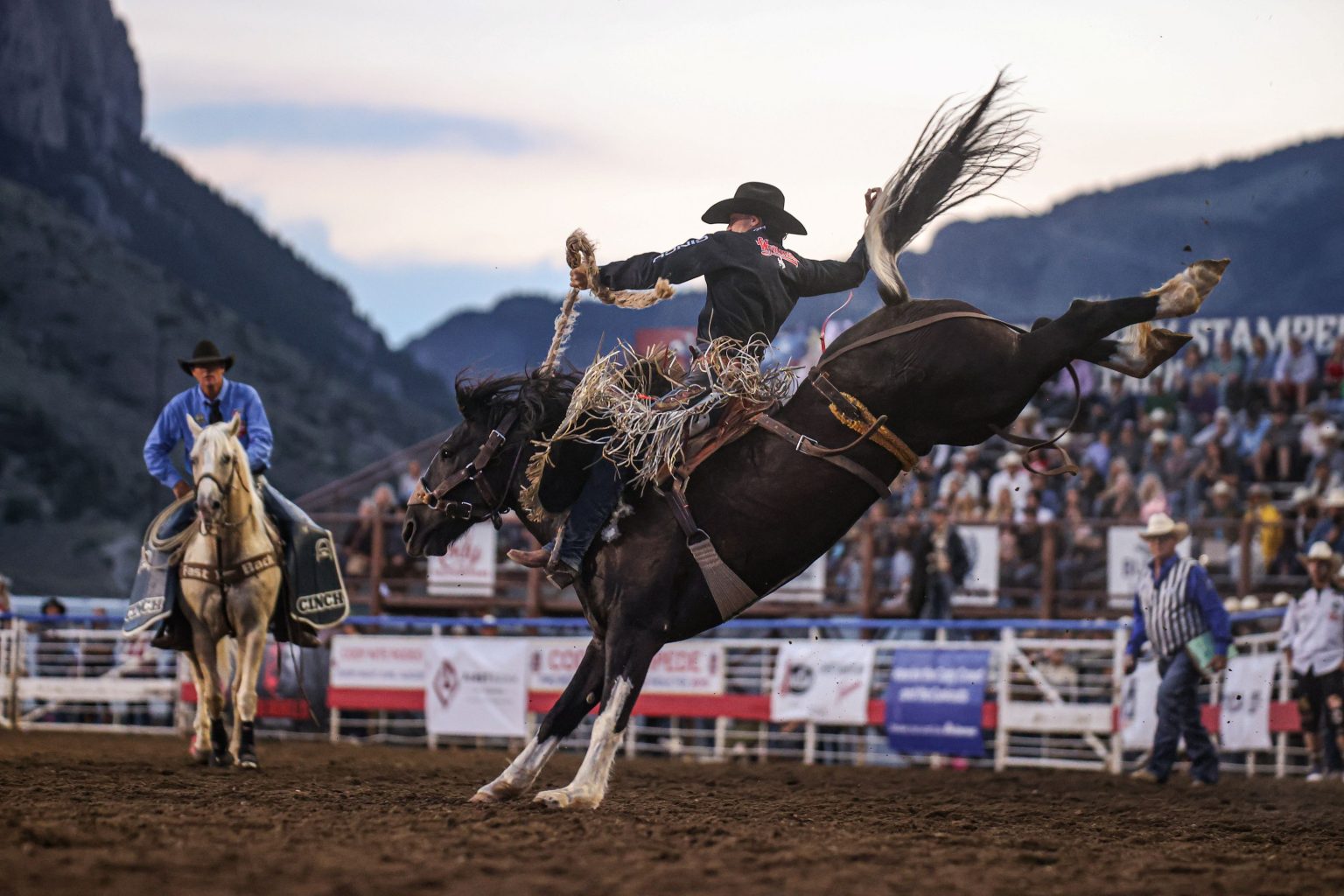 Local saddle bronc rider rises to the top at Cody Stampede ...