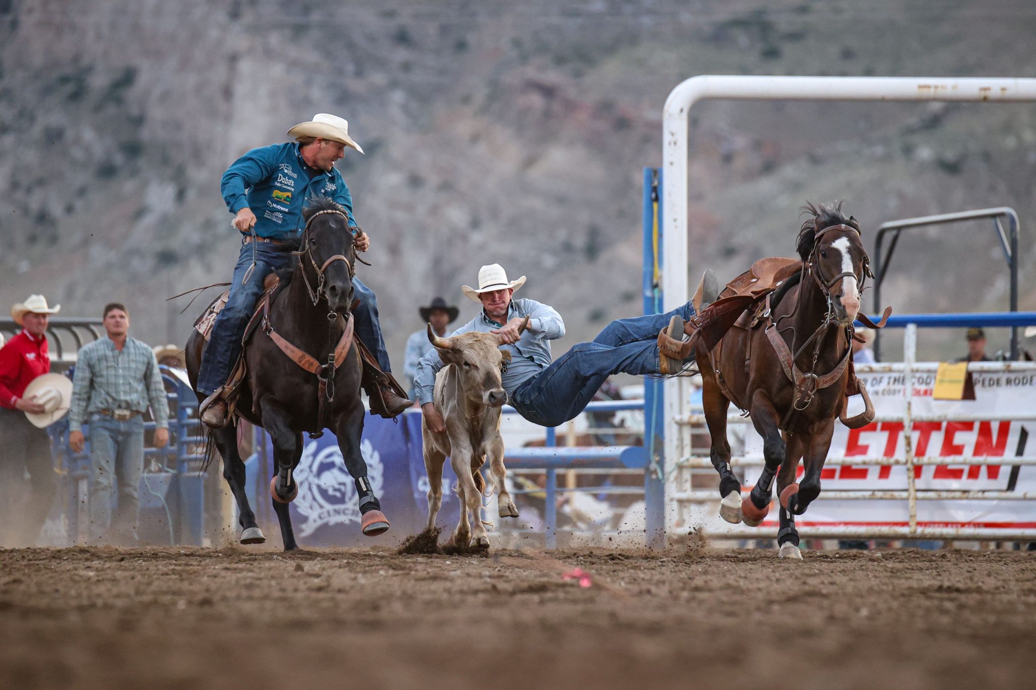 Competition heating up at Cody Stampede Rodeo | TheFencePost.com