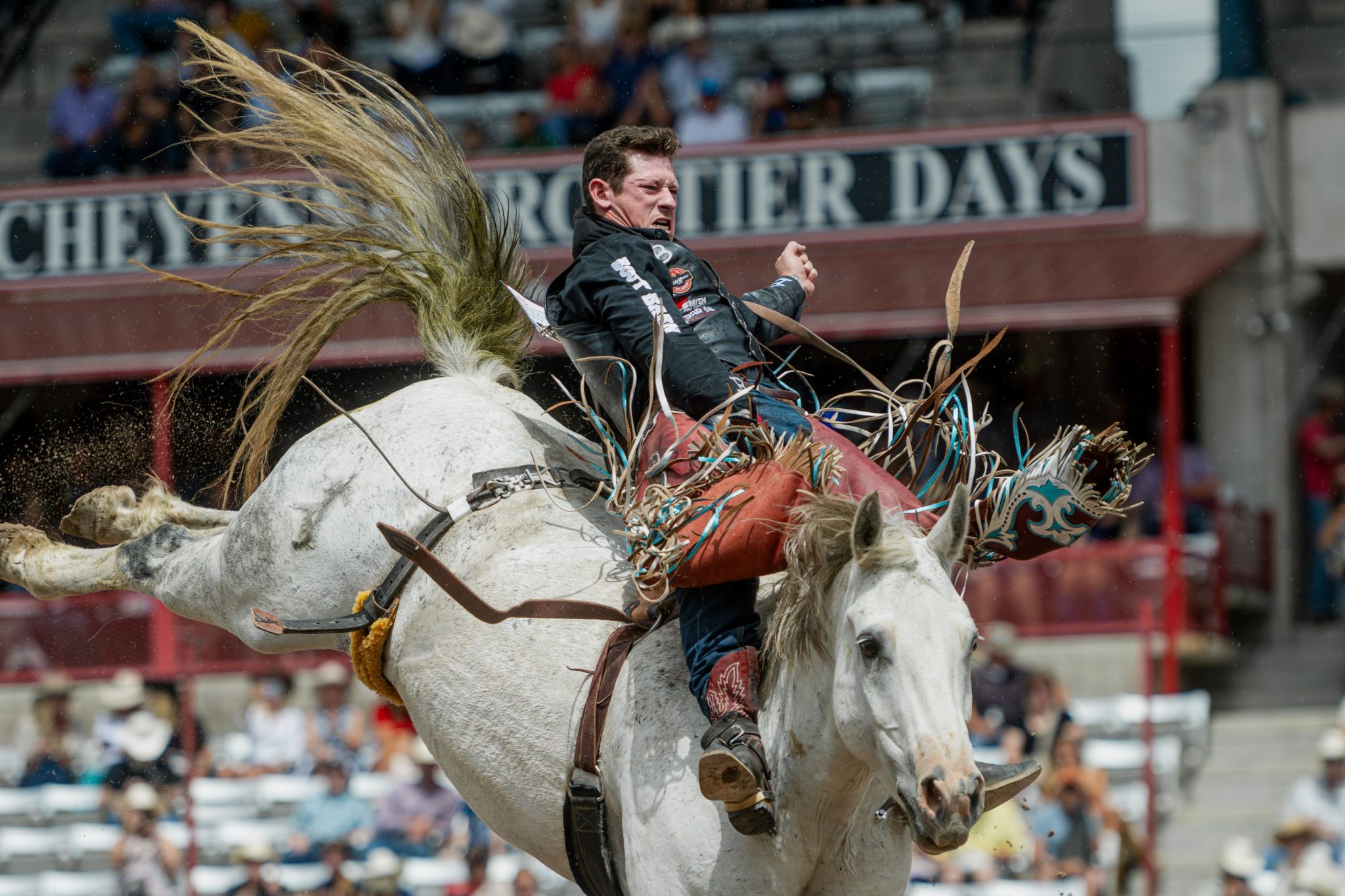 Three 2023 champs advance to Semi Finals at Cheyenne Frontier Days ...