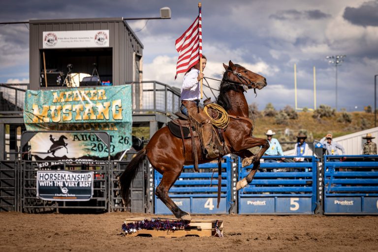 Spirit of the Wild West comes alive at the 2025 Meeker Mustang Makeover ...
