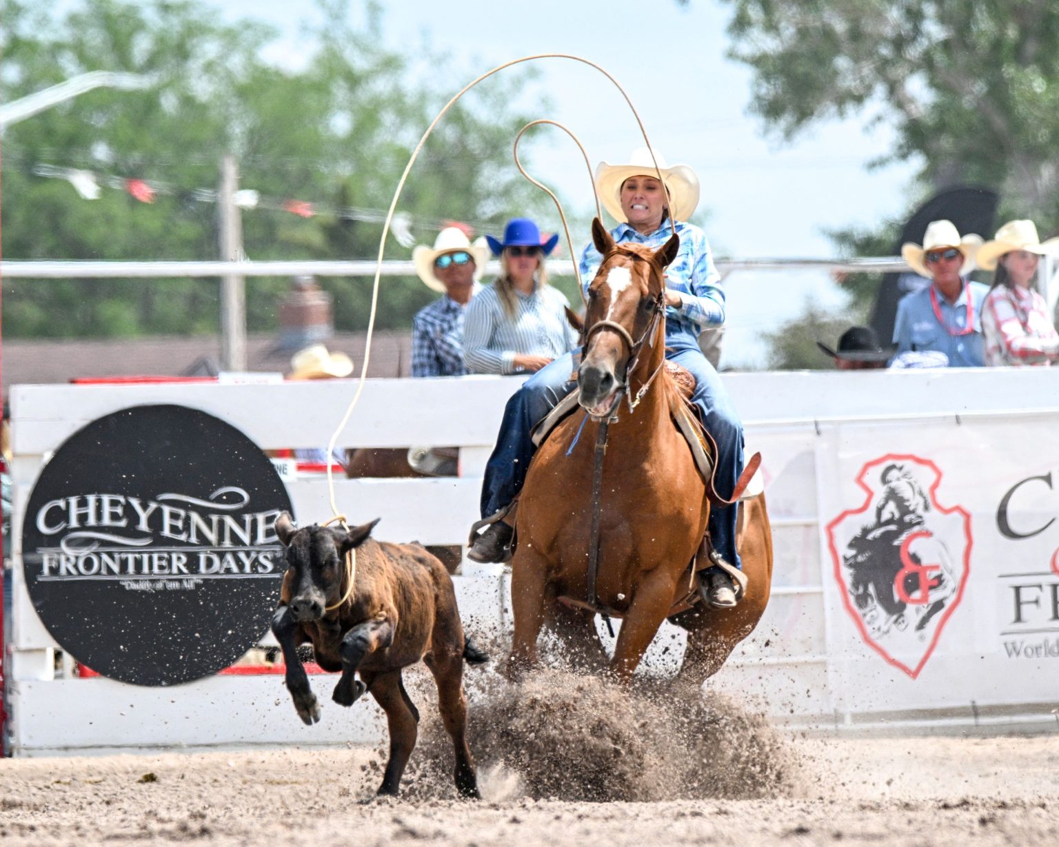 High scores reign at Cheyenne Frontier Days Rodeo | TheFencePost.com