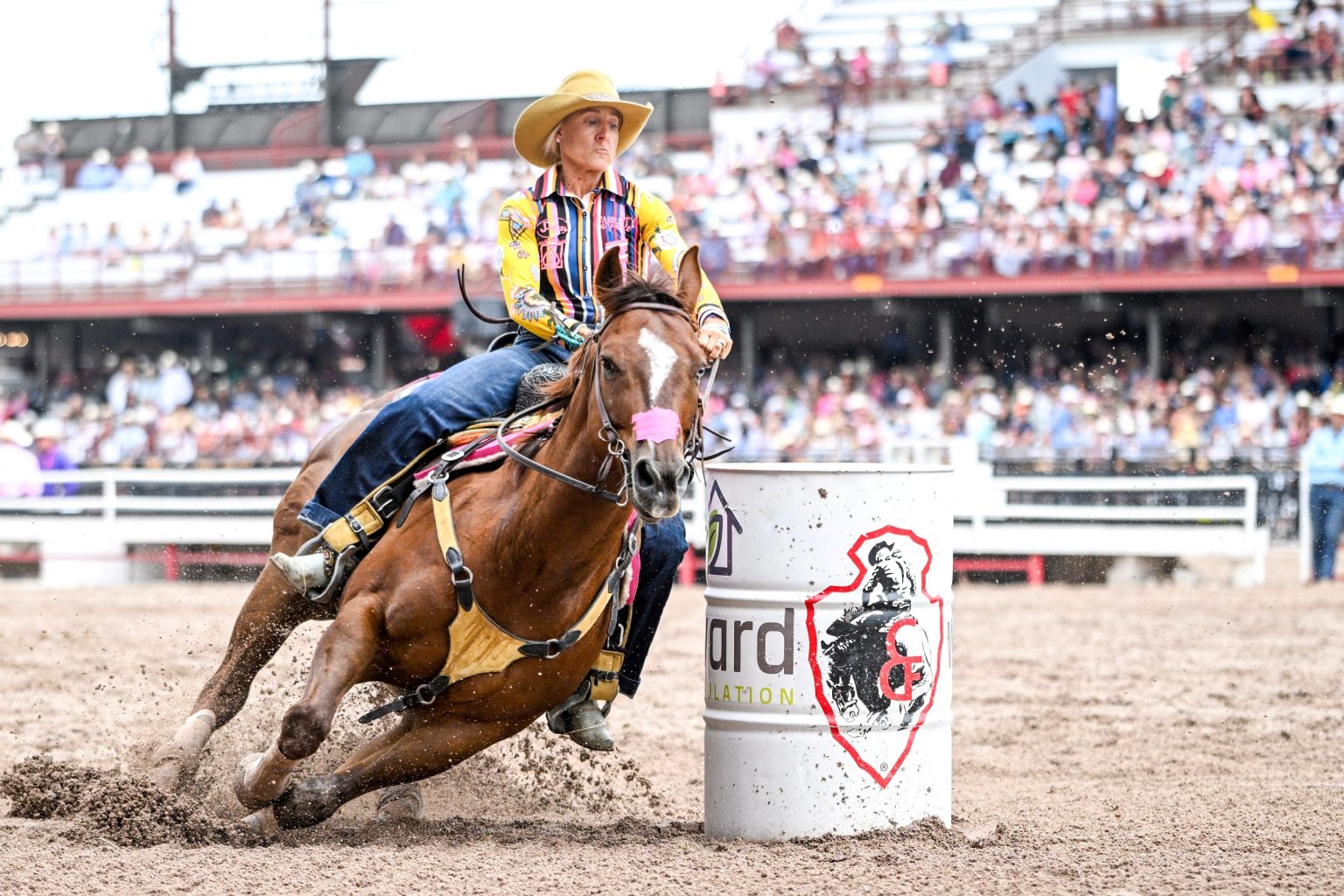 Semi Finals field set at Cheyenne Frontier Days Rodeo | TheFencePost.com