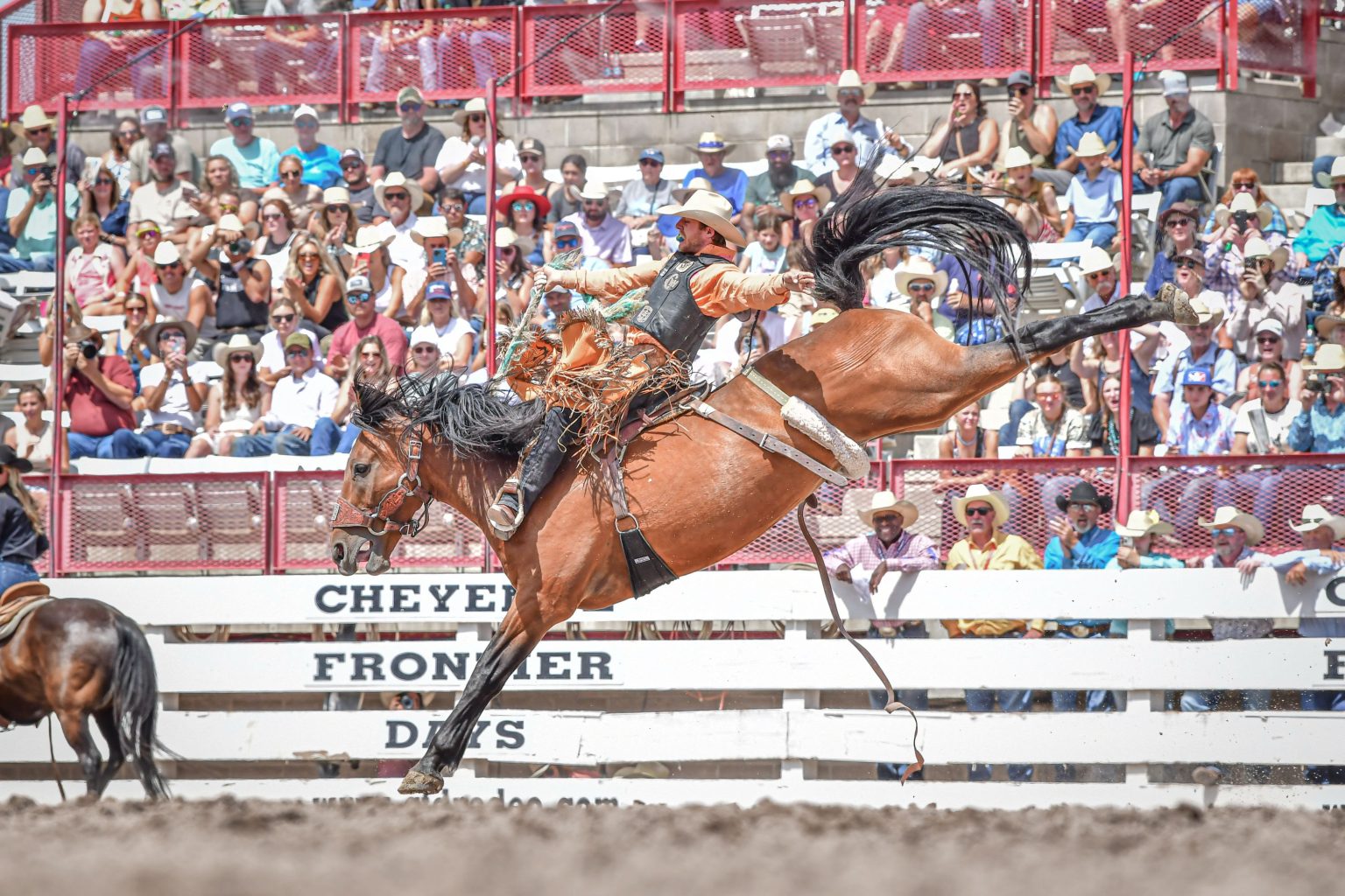 129th Cheyenne Frontier Days Rodeo ends with record-setting action ...