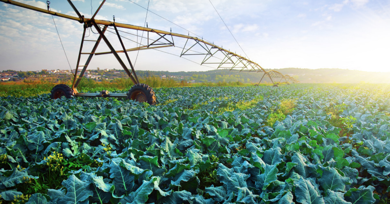 Colorado aggies have mixed reaction to USDA reorganization ...