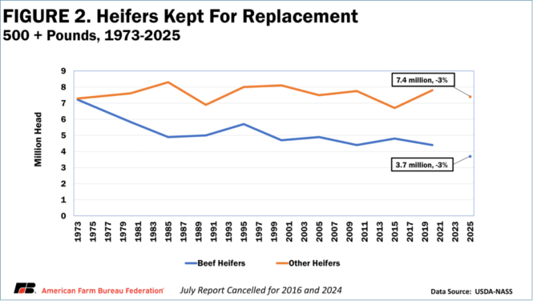 Re-instated July Cattle Inventory shows continued herd contraction ...