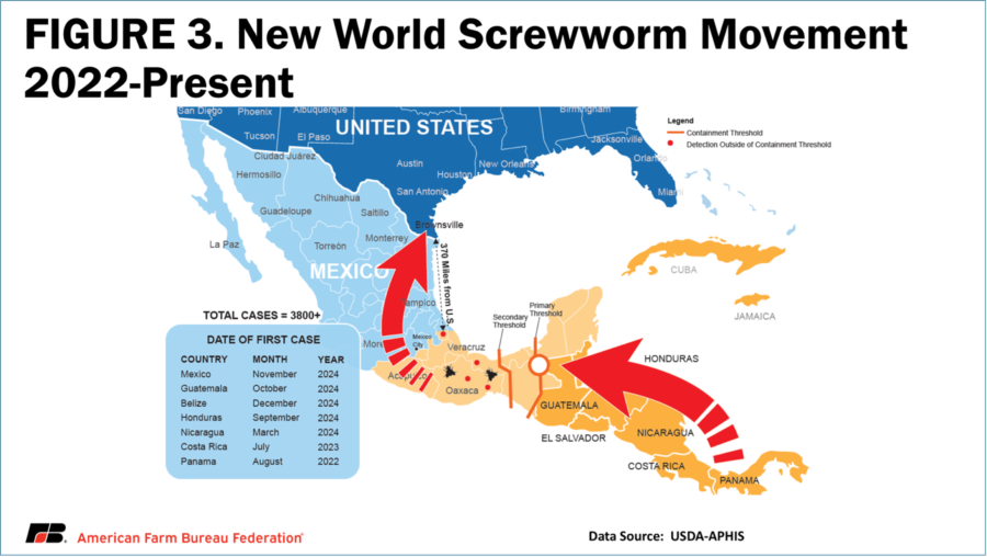 Re-instated July Cattle Inventory shows continued herd contraction ...