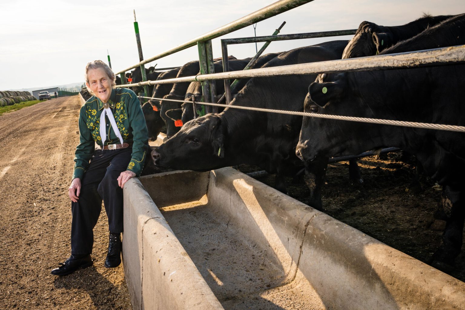 Temple Grandin film ‘An Open Door’ to start streaming worldwide ...