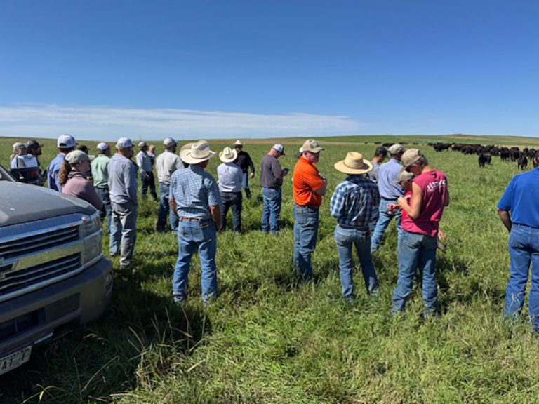 Virtual fencing: Enhancing cattle management on the range ...