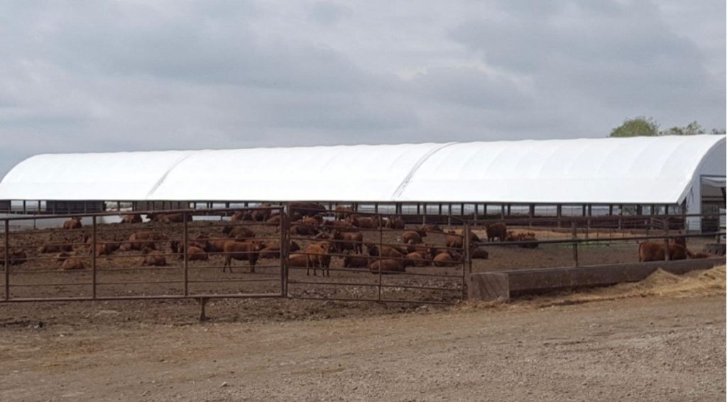 2025 Fall Homeland | Choices: Is a hoop barn or a monoslope structure ...