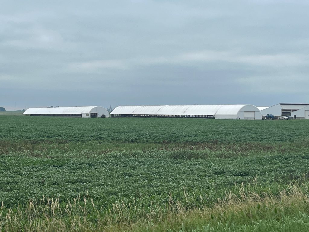 2025 Fall Homeland | Choices: Is a hoop barn or a monoslope structure ...