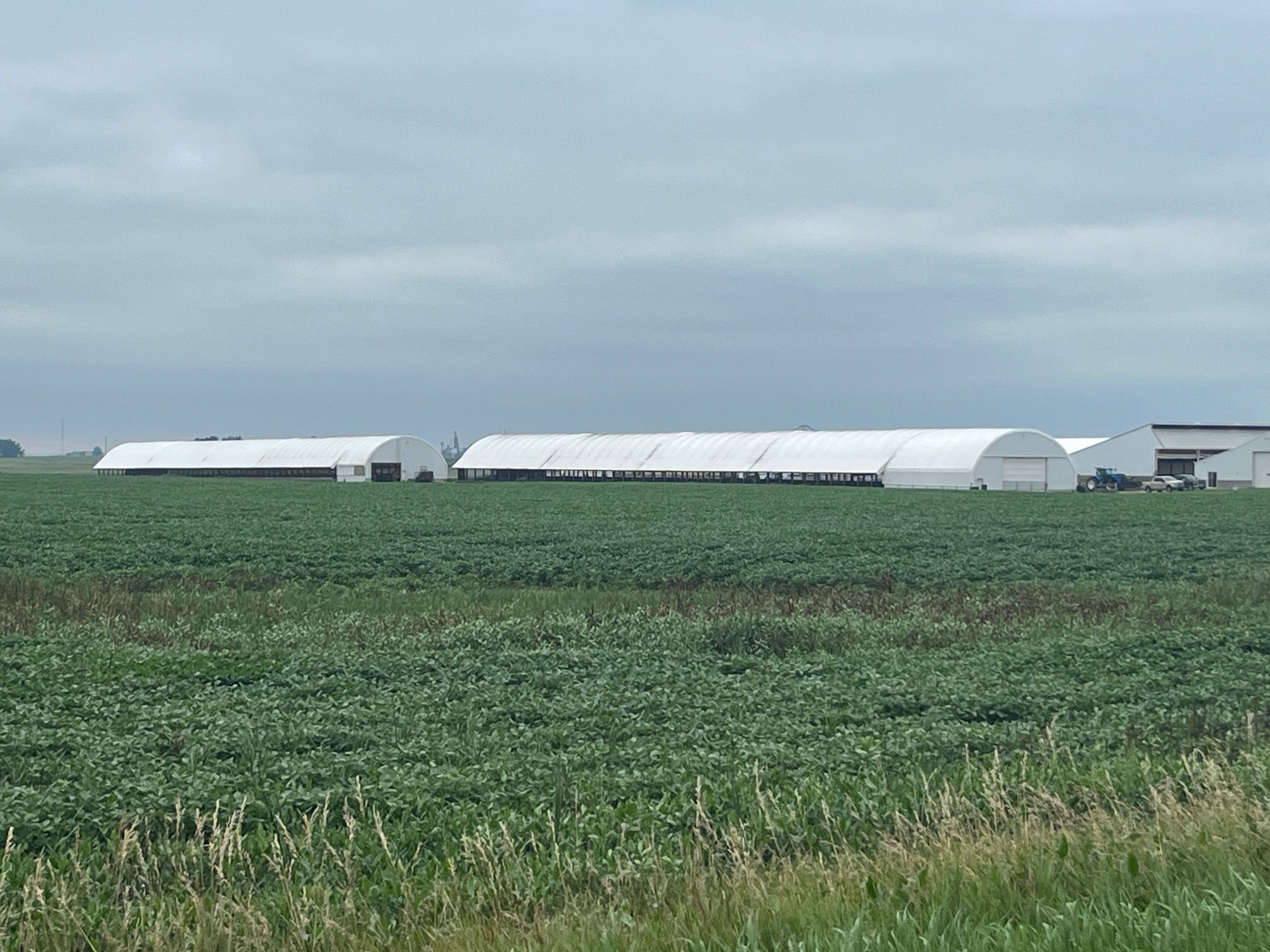2025 Fall Homeland | Choices: Is a hoop barn or a monoslope structure ...