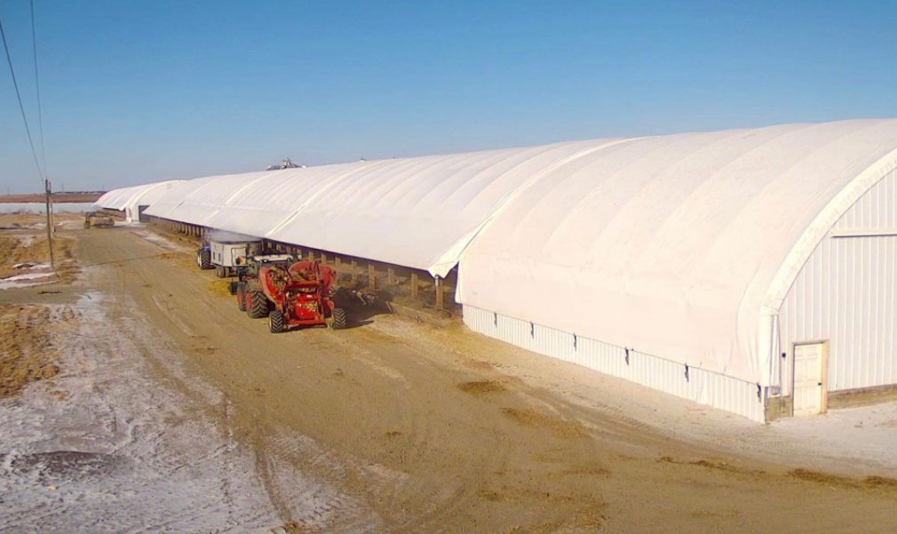 2025 Fall Homeland | Choices: Is a hoop barn or a monoslope structure ...