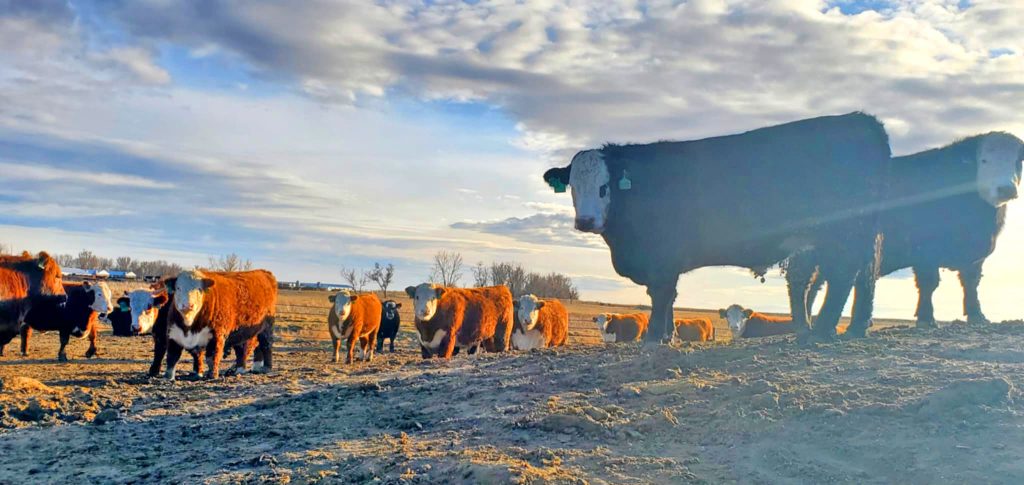 Obituary: Doug Teter | TheFencePost.com