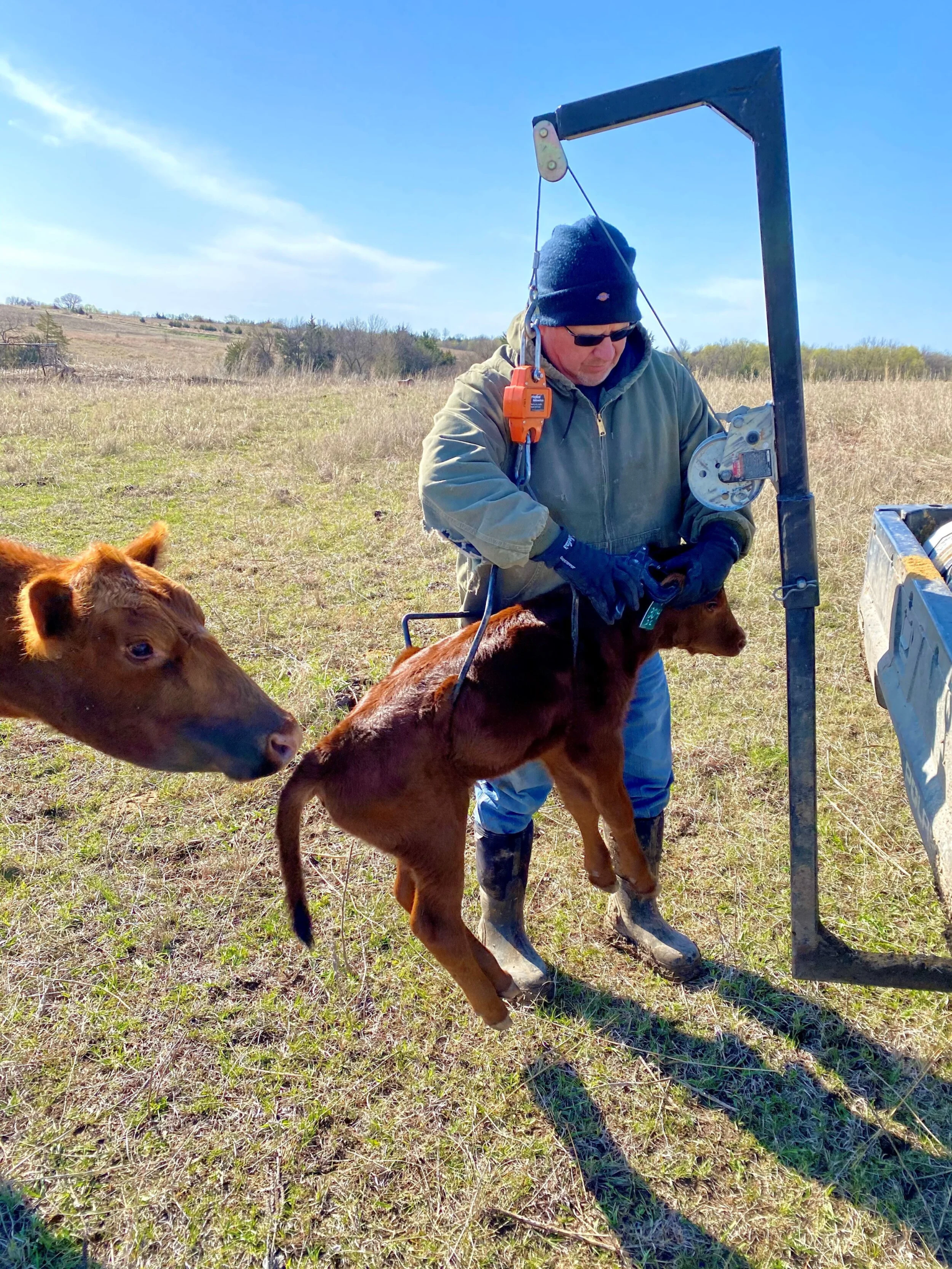 Caldwell Cattle & Equipment builds innovation from the ground up ...