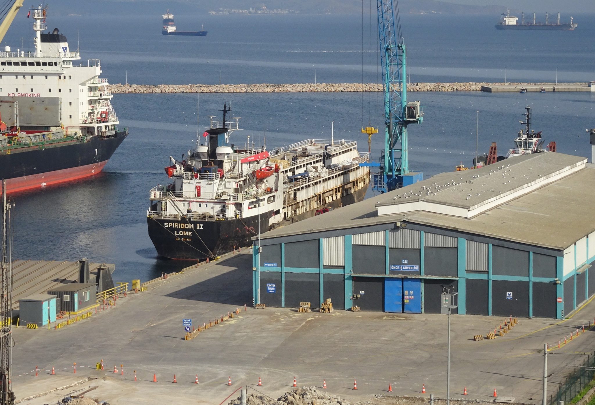 Destination unknown for Spiridon II livestock ship after unloading in ...
