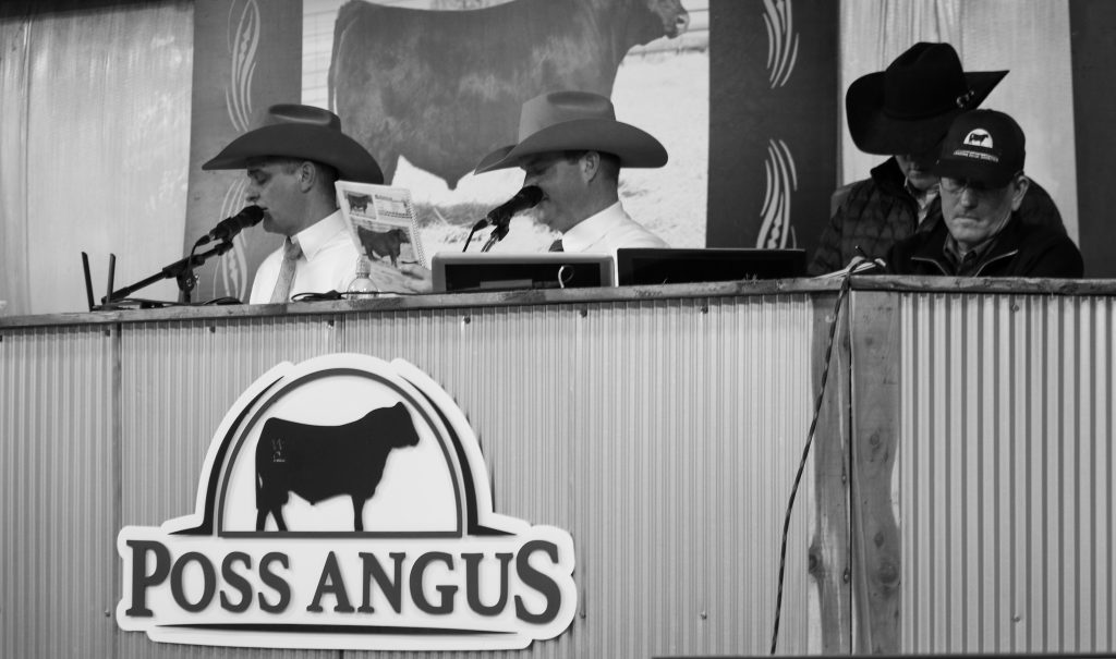 Breeder’s Connection 2026 | Poss Angus | TheFencePost.com