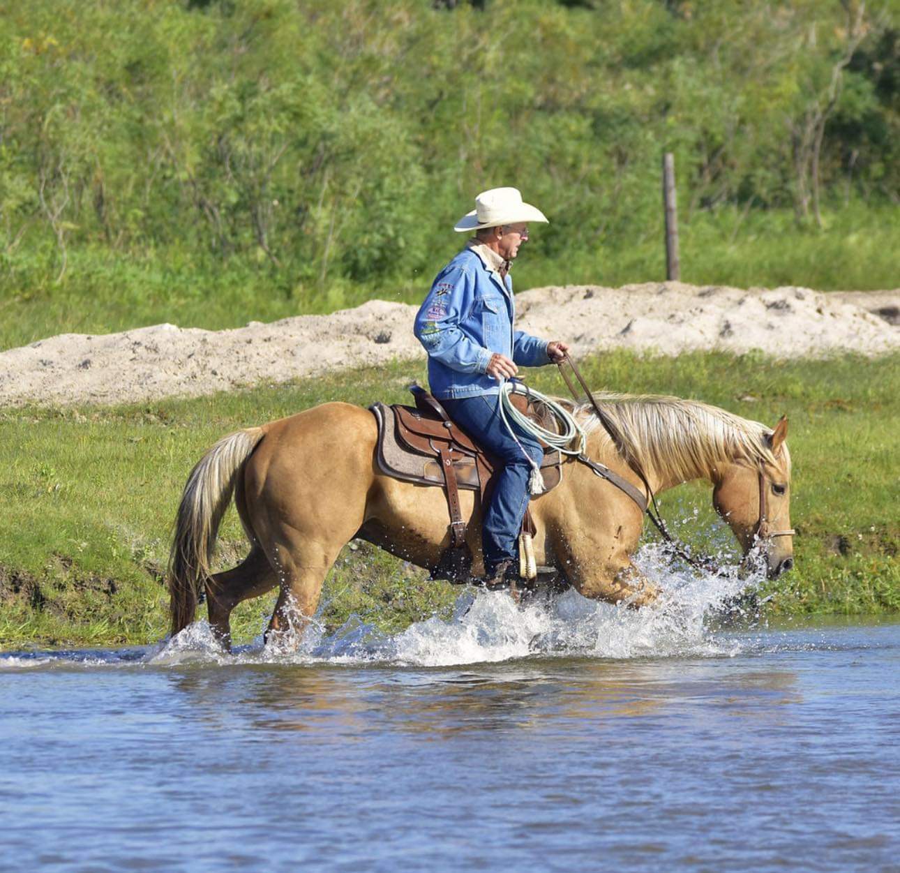 Breeder’s Connection 2026 | The Pitzer Ranch | TheFencePost.com