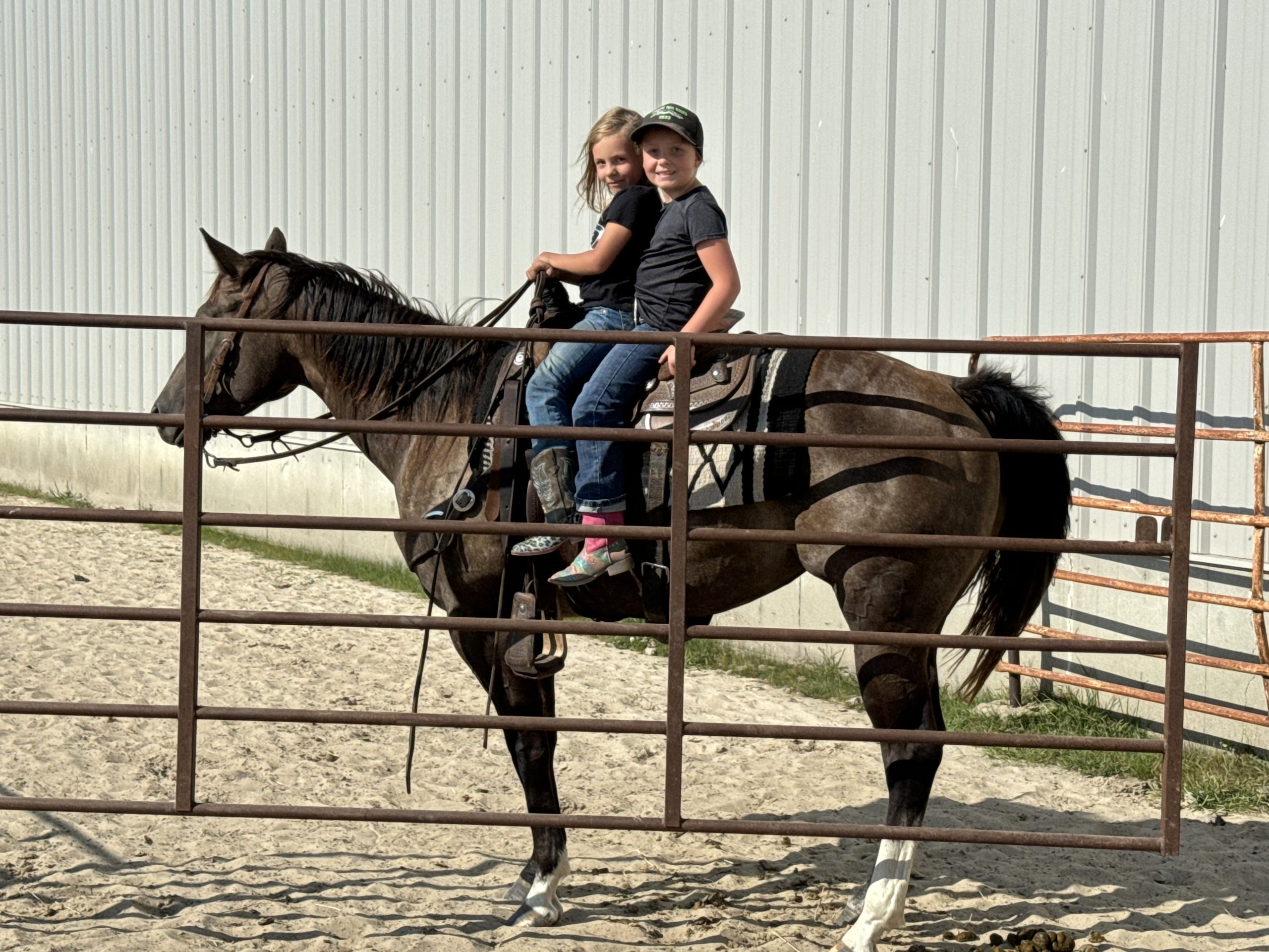 Breeder’s Connection 2026 | The Pitzer Ranch | TheFencePost.com