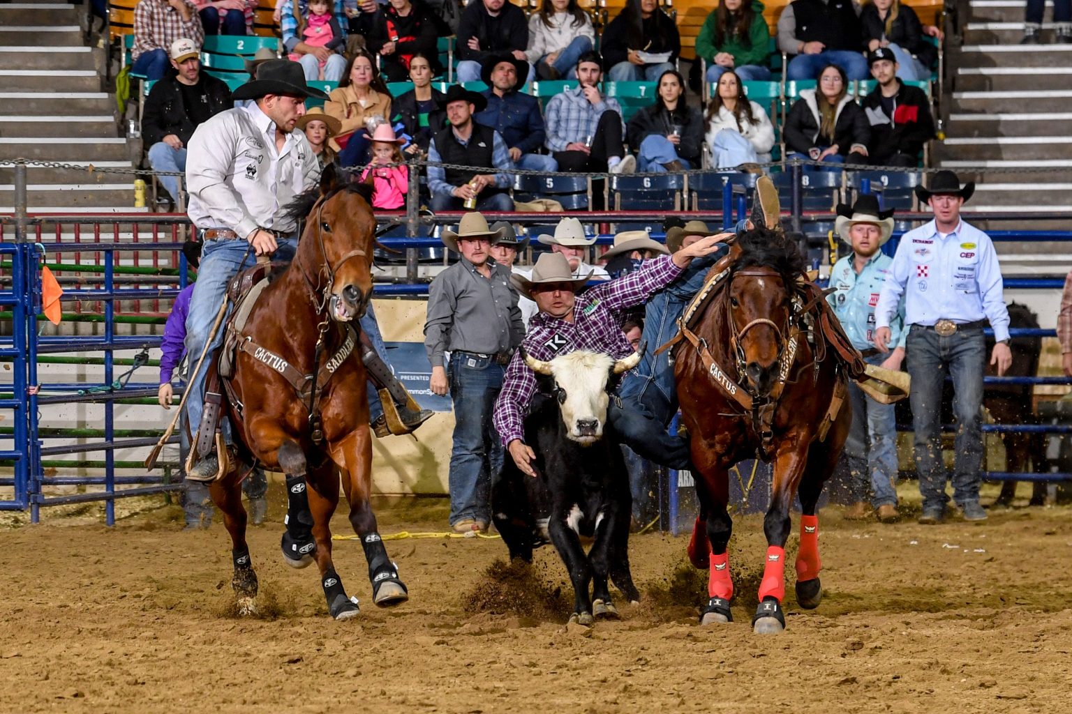 World champion steer wrestler dominates at National Western Stock Show ...