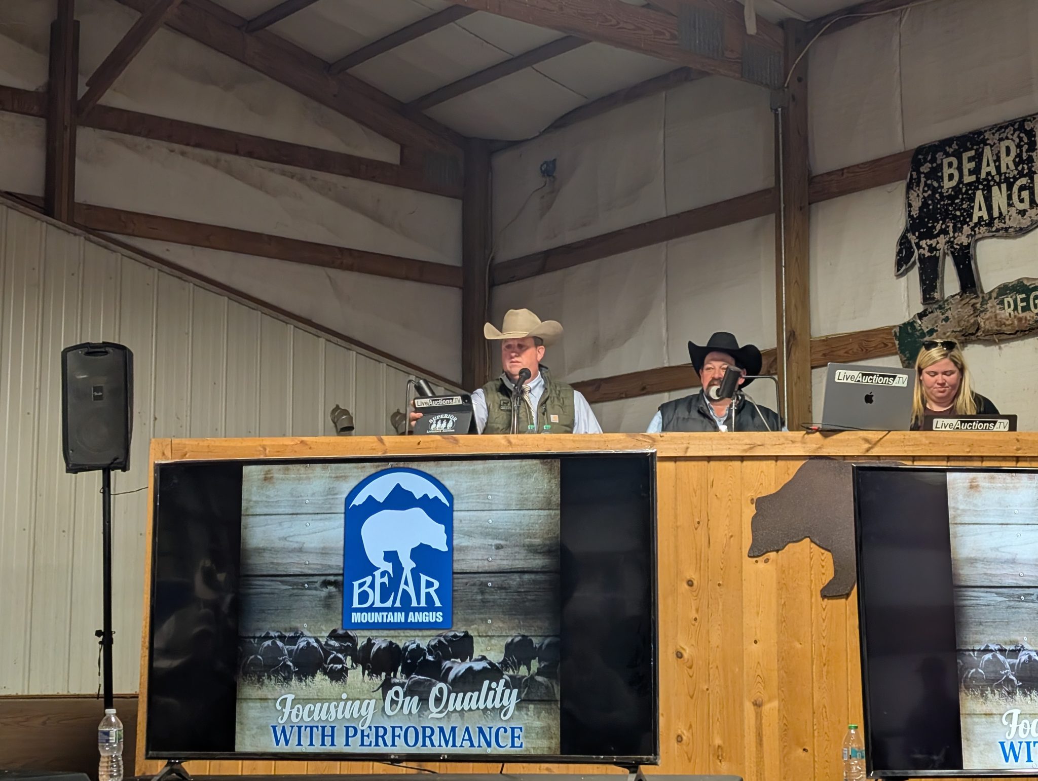 Bear Mountain Angus Annual Bull Sale | TheFencePost.com