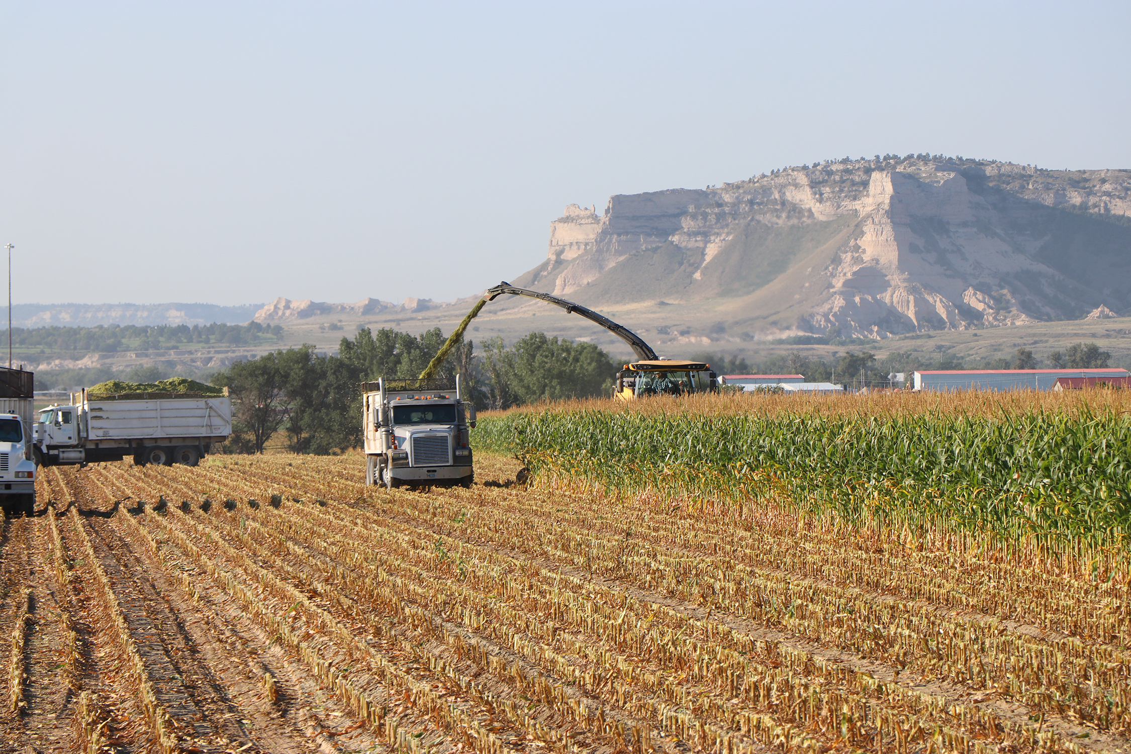 UNL releases preliminary Farm Real Estate Market Survey results for ...