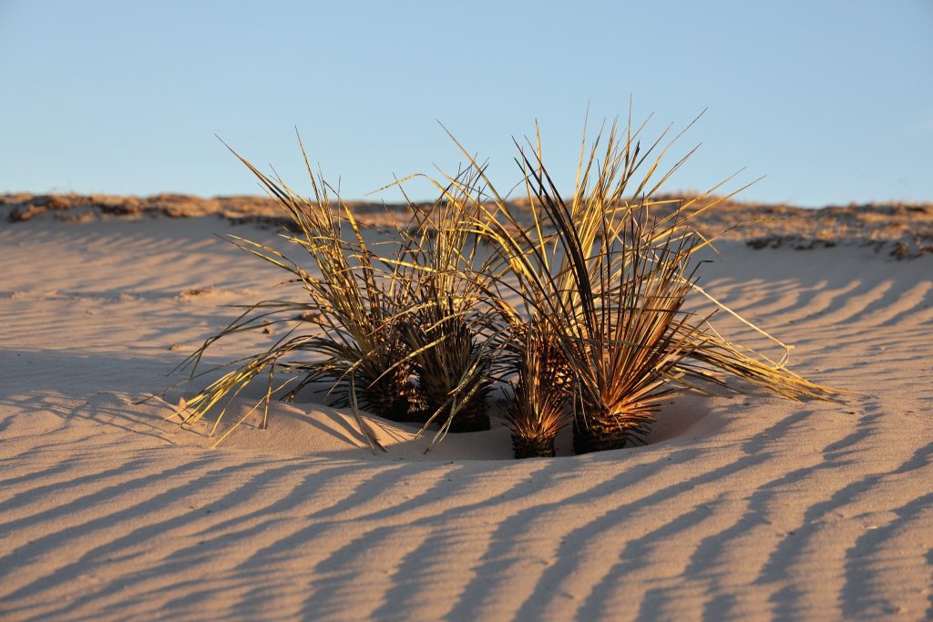 Putting it in words: Ainsley Wilson on the Morrill Fire | TheFencePost.com