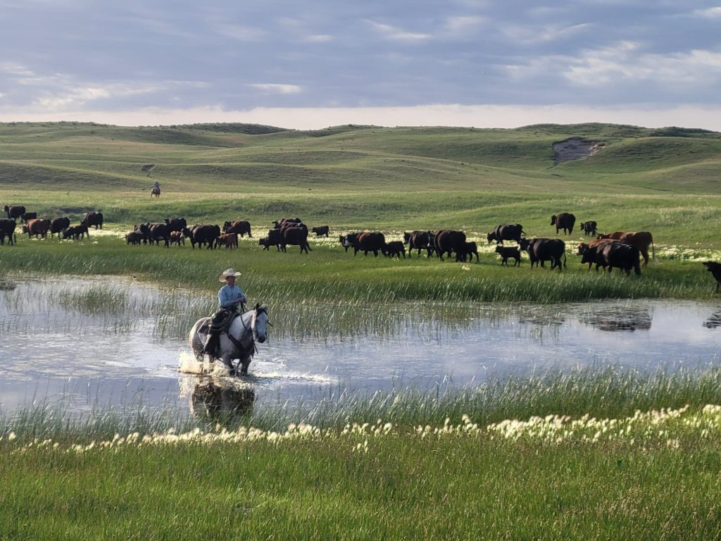 Putting it in words: Ainsley Wilson on the Morrill Fire | TheFencePost.com