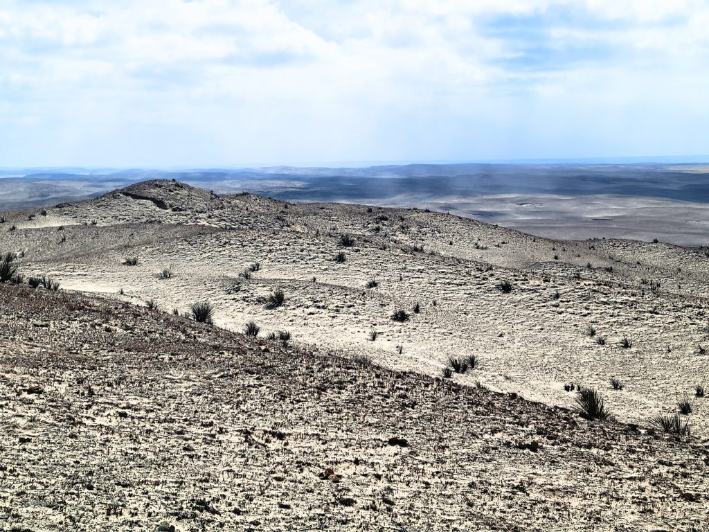 Putting it in words: Ainsley Wilson on the Morrill Fire | TheFencePost.com