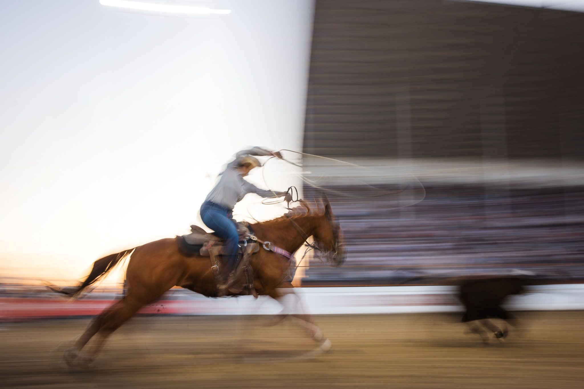 Cowgirls chase Cheyenne Berths at Buffalo Bill Rodeo | TheFencePost.com