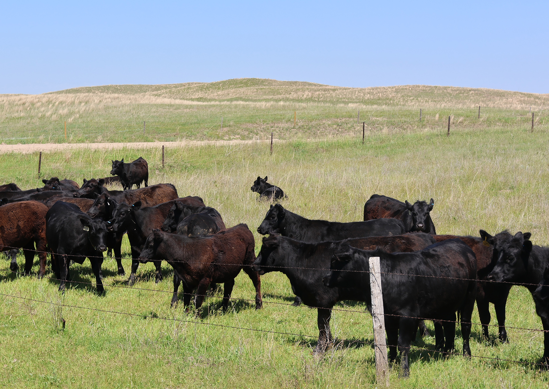 North Dakota group seeks investigation into CME activity | TheFencePost.com